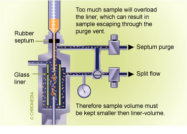 Injection principles of capillary GC - Chemistry LibreTexts